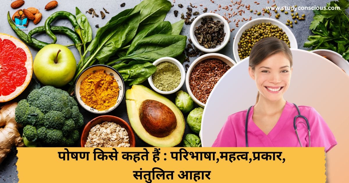 पोषण किसे कहते हैं परिभाषामहत्वप्रकार संतुलित आहार What Is